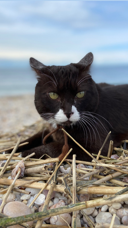 A4 B5 D893 29 E0 4 D0 E 8 E6 B B2 B3 BBCC8 A8 D — Postimages