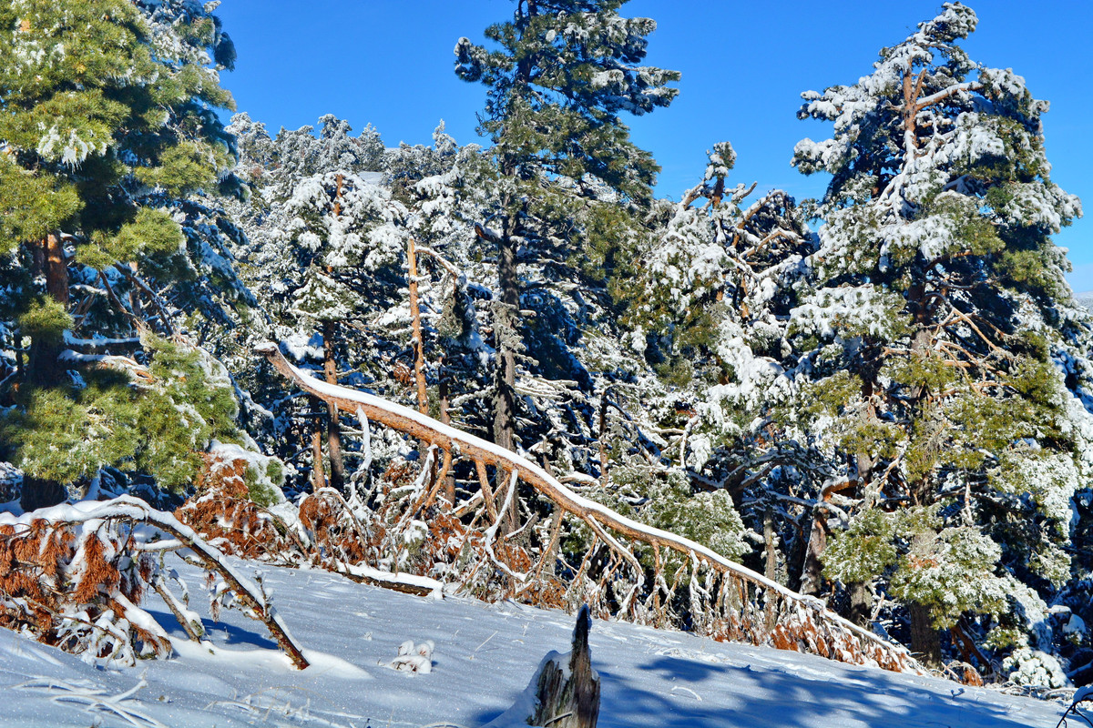 DSC 1602 — Postimages