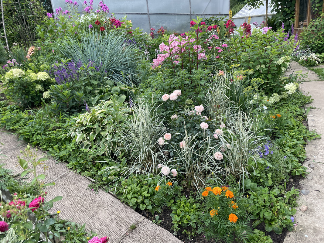 IMG 3866 — Postimages