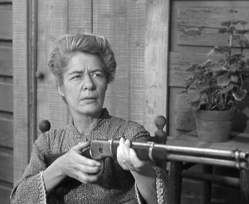 De western - Film: Genres en landen - filmforum