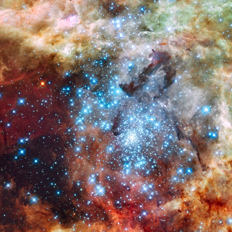 october 26 2019 star clusters in the tarantula nebula — Postimages
