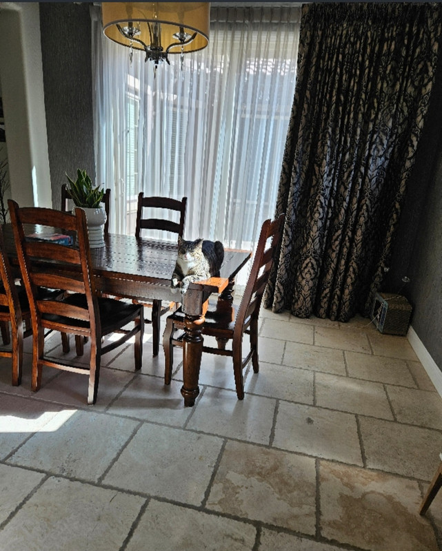 Screenshot 20240824 221113 Voxer — Postimages