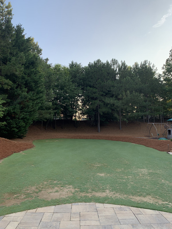 6 3 19 — Postimages