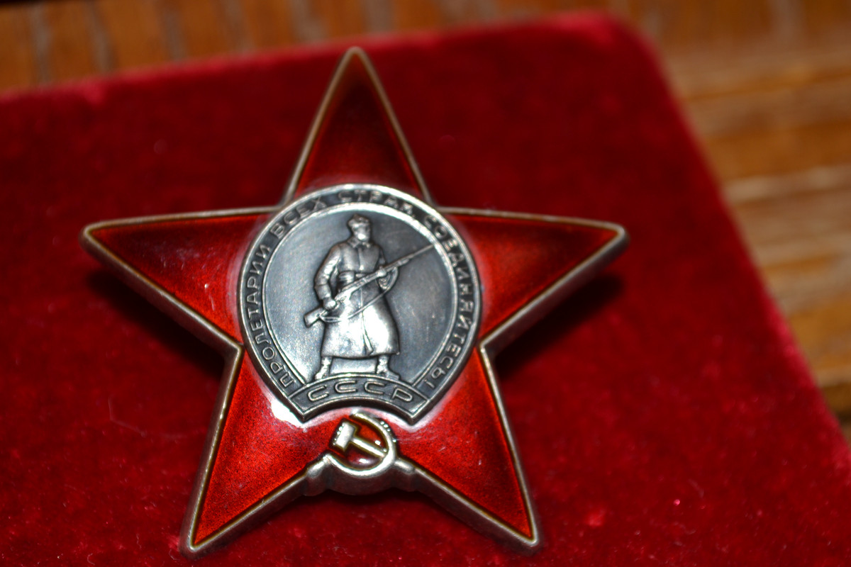 DSC 0495 — Postimages