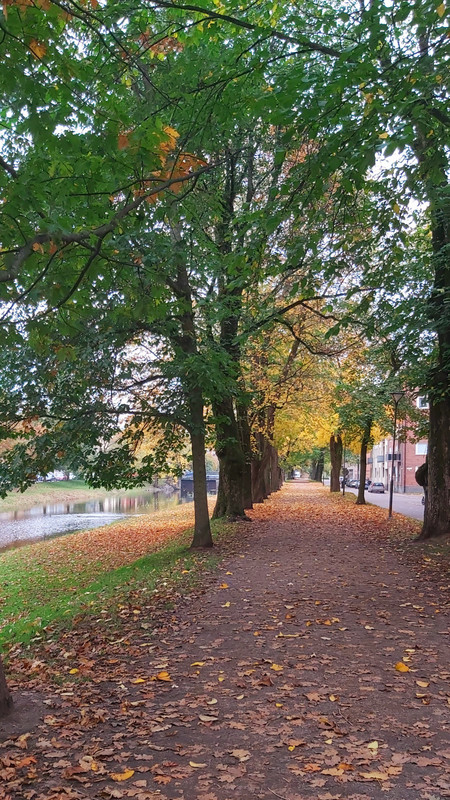 20211009 100724 — Postimages