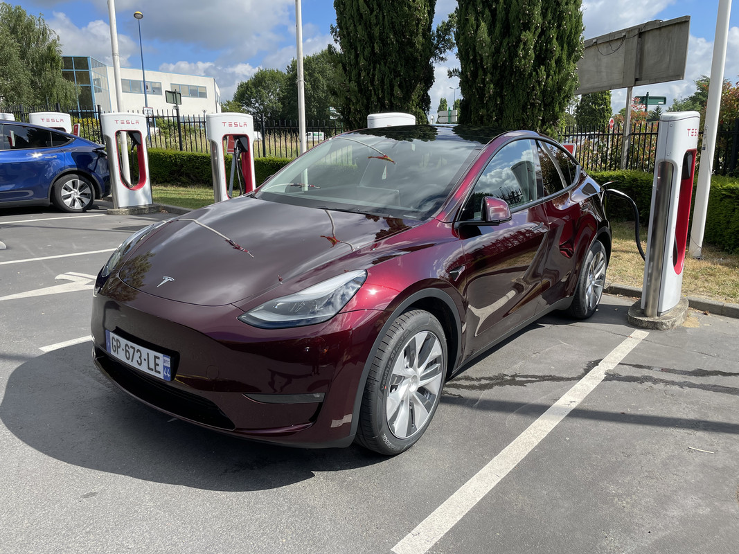 Model Y Midnight Cherry Red - Forum BlogTesla : Discussions, Astuces et ...