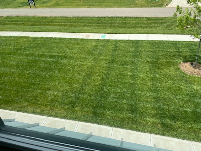 streaks in yard | Lawn Care Forum
