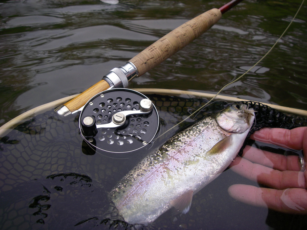 trout fishing 060709 013 — Postimages