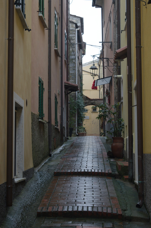 DSC 0139 NEF — Postimages