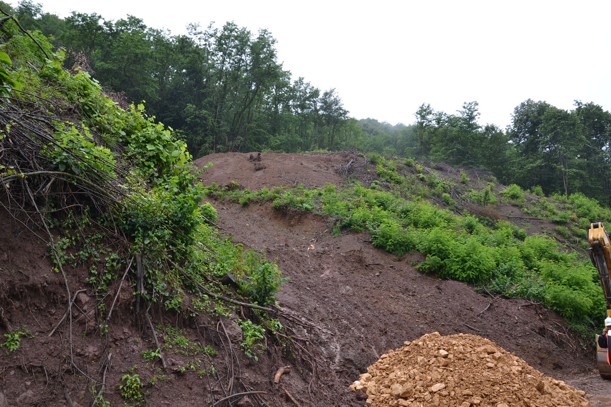 DSC 0832 — Postimages