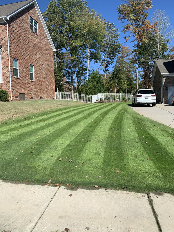 Seeding Perennial Ryegrass | Lawn Care Forum