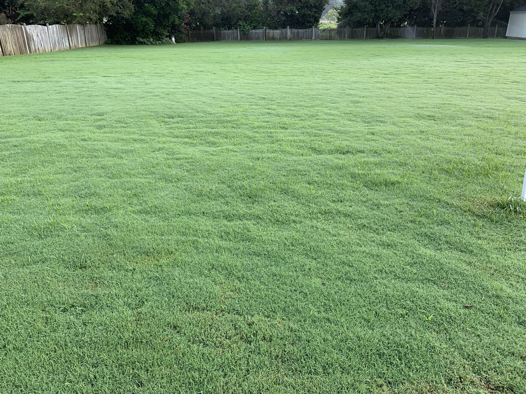 IMG 0655 — Postimages