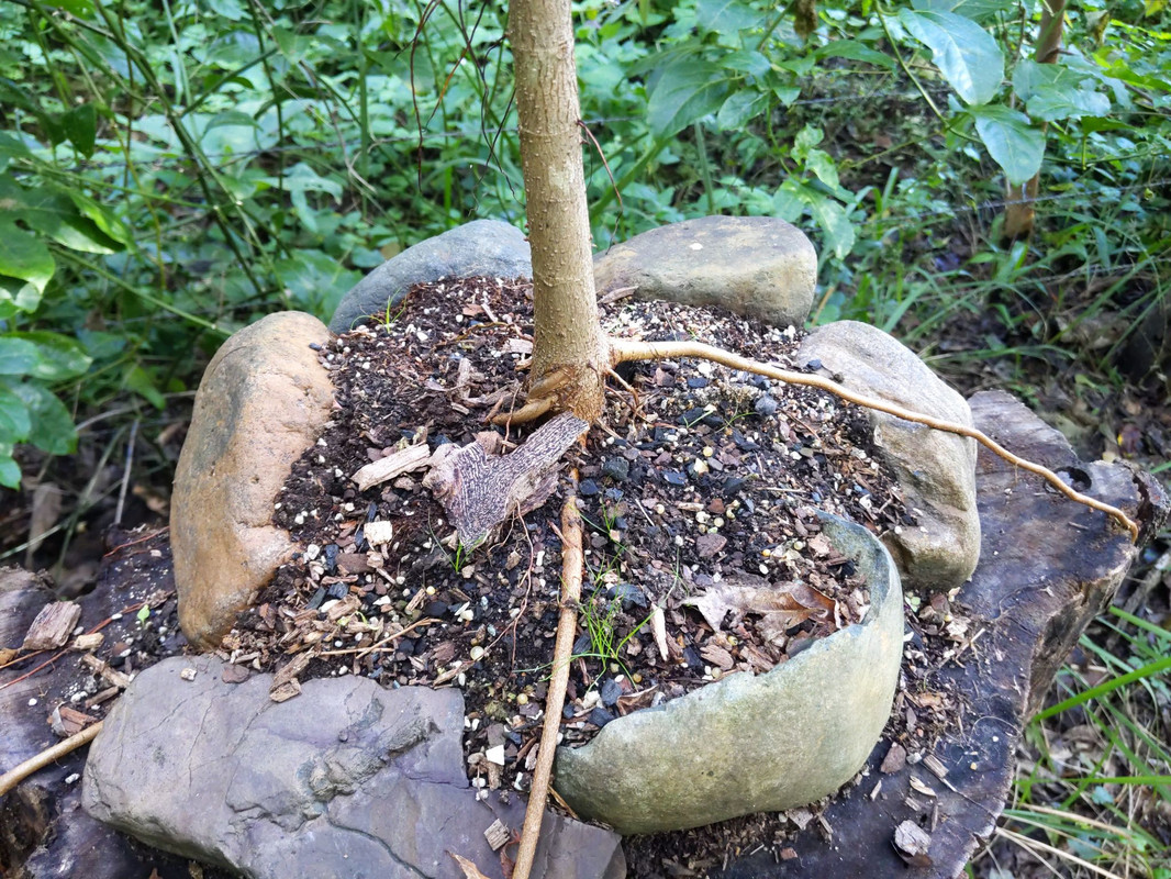 Imagepipe 1192 — Postimages