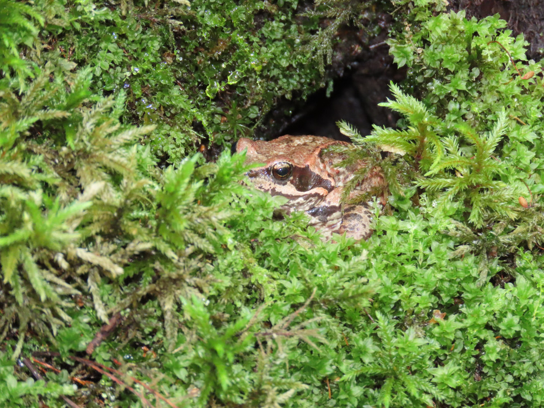 IMG 2013 — Postimages