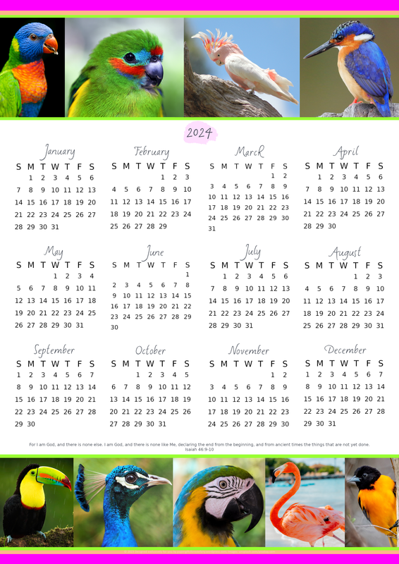 PGFE 2024 Calendar Birds A4 — Postimages