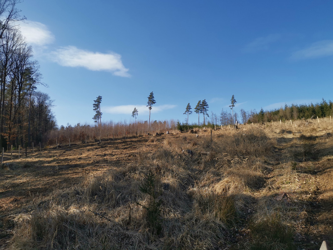 IMG 20230301 123848 — Postimages