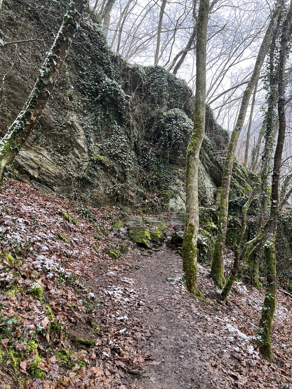 360995 B9 A648 49 C3 8 E90 E71 F27 BD451 C — Postimages