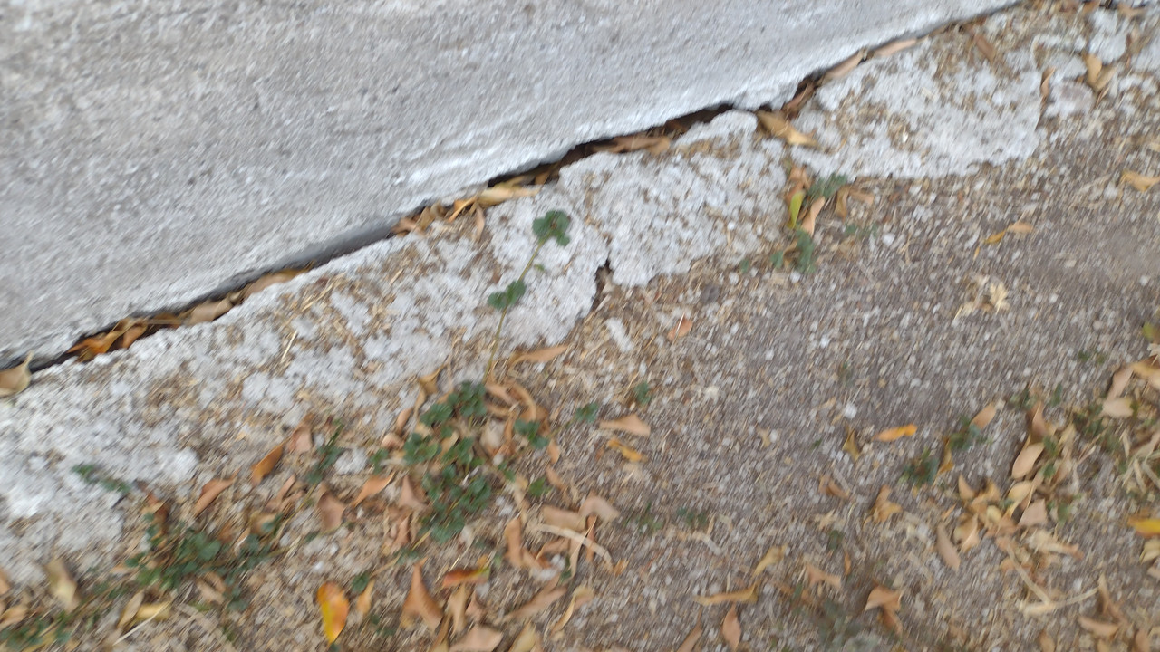 OESTE 2 — Postimages