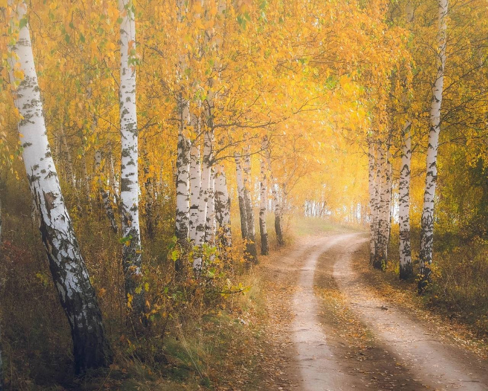 IMG 20221105 095637 907 — Postimages