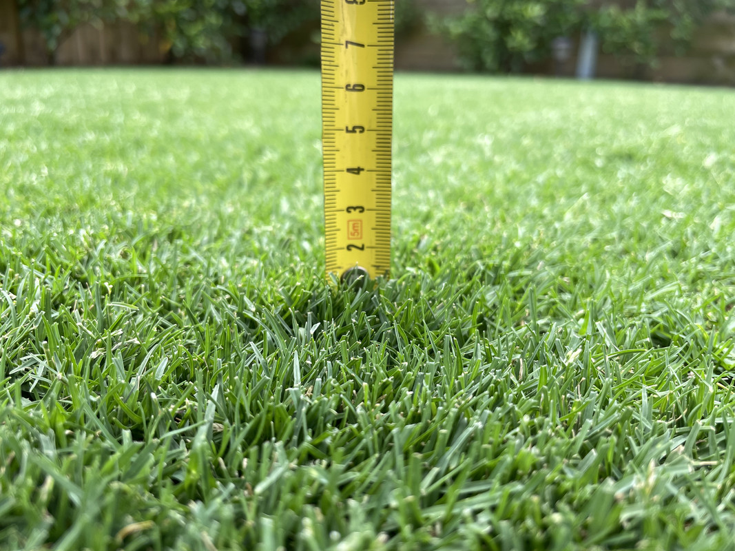 IMG 3900 — Postimages