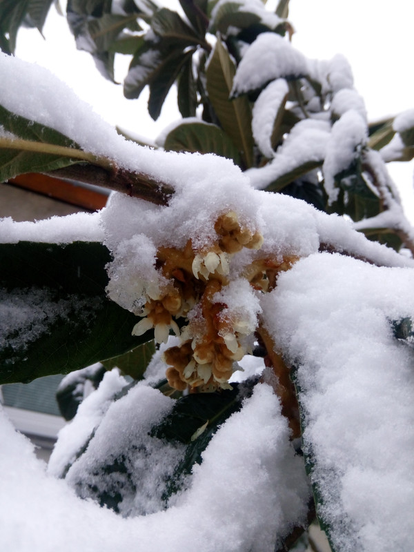 IMG 20231202 110811 — Postimages