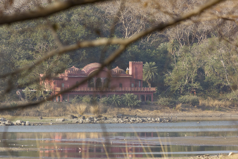 Jogi Mahal, Ranthambore: How To Reach, Best Time & Tips