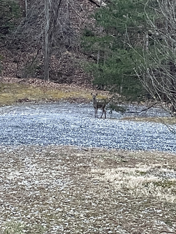 IMG 5253 — Postimages