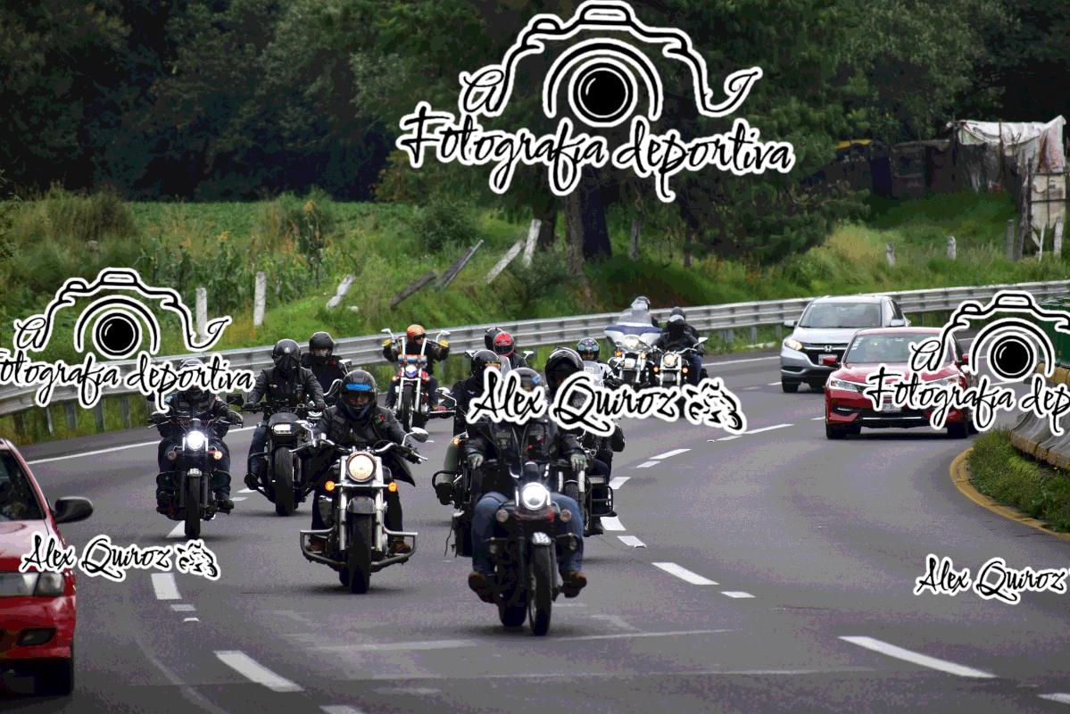 AVQ 4739 — Postimages