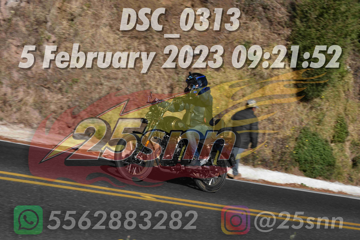 DSC 0313 — Postimages