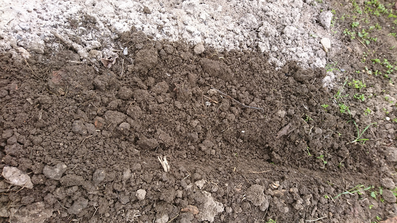 DSC 0616[1] — Postimages