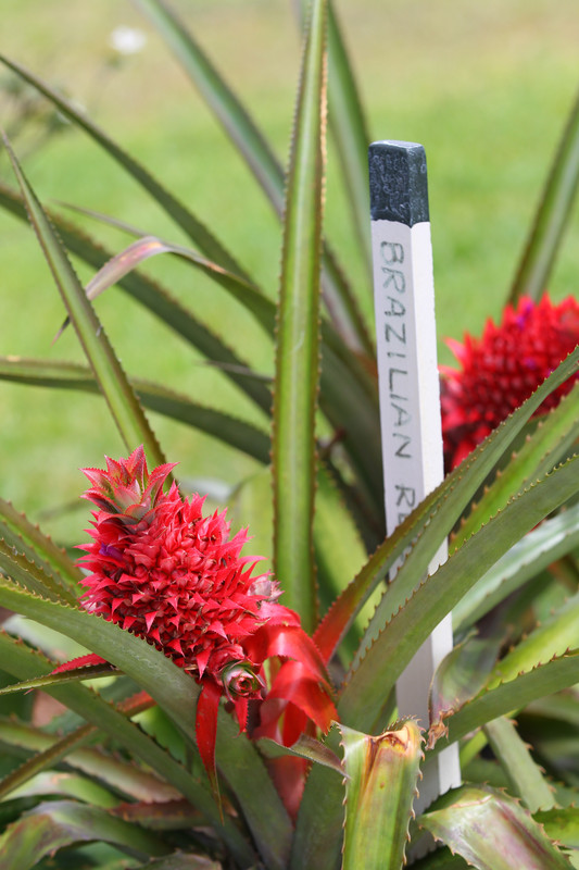 E33G3010 — Postimages