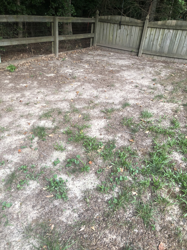 Dry/ Hard soil | Lawn Care Forum