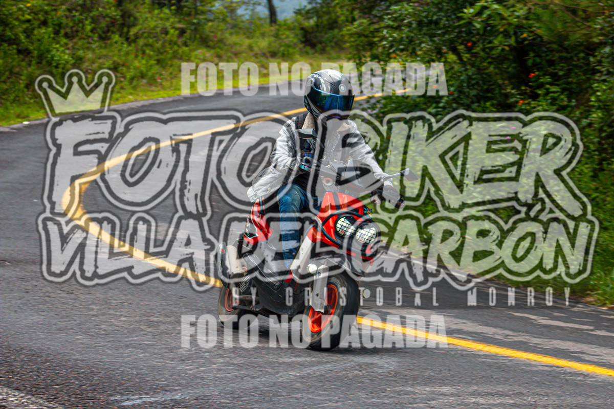 C1P2 105 — Postimages