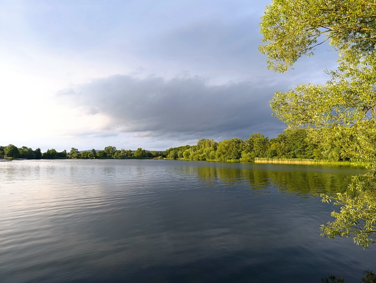 [Allgemeiner Smalltalk] Alf Schumacher weiß, was deine Wärmflasche wert ...