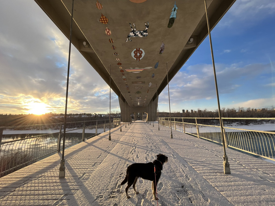Great Canadian Bridges - Page 67 - SkyscraperPage Forum