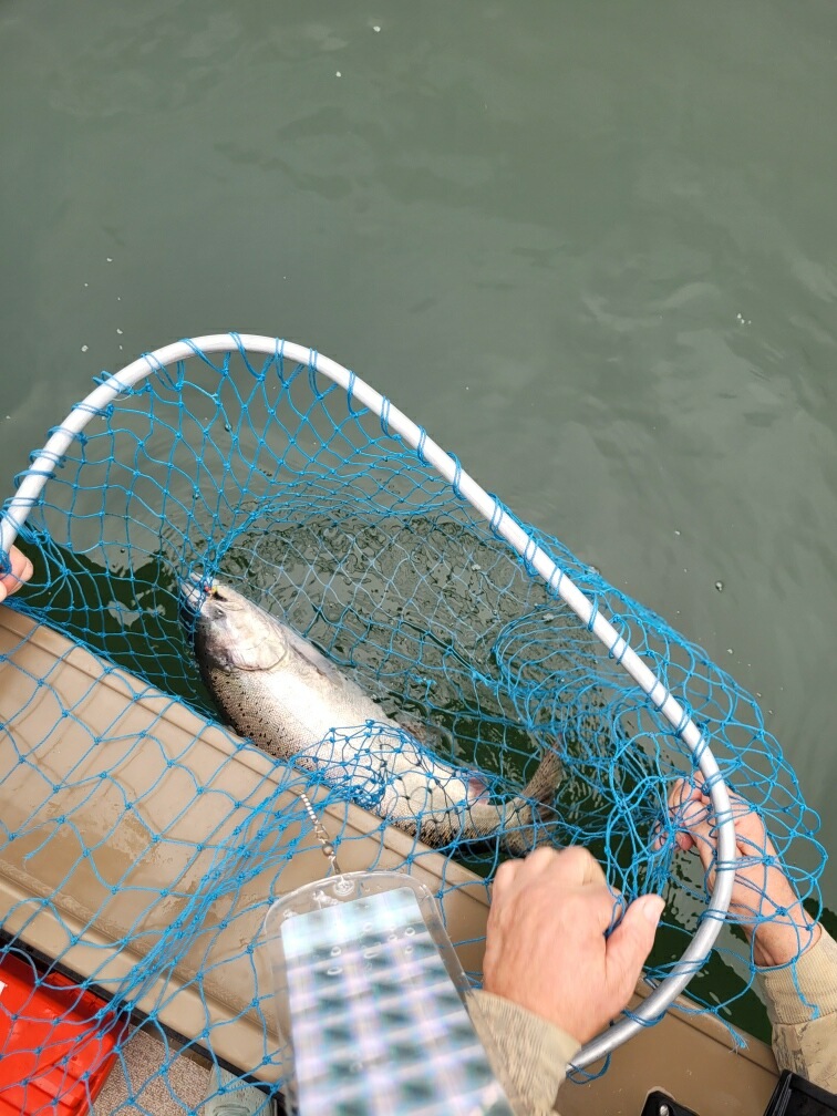 imagejpeg 1 — Postimages