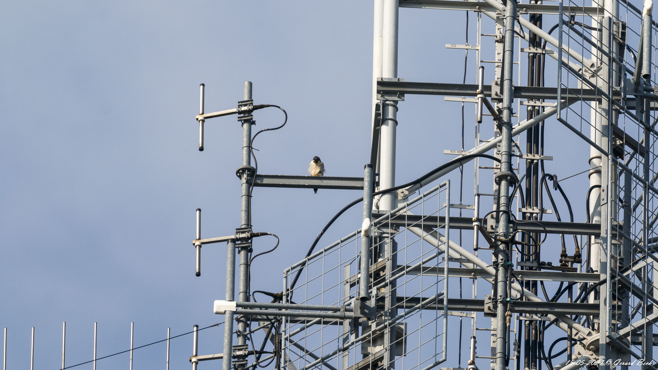 IMG 1183 — Postimages