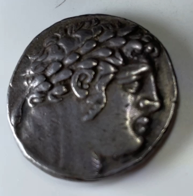 Goosenfeffer (u/Goosenfeffer) - Reddit