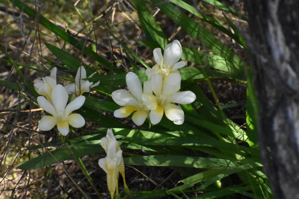 DSC 0140 — Postimages