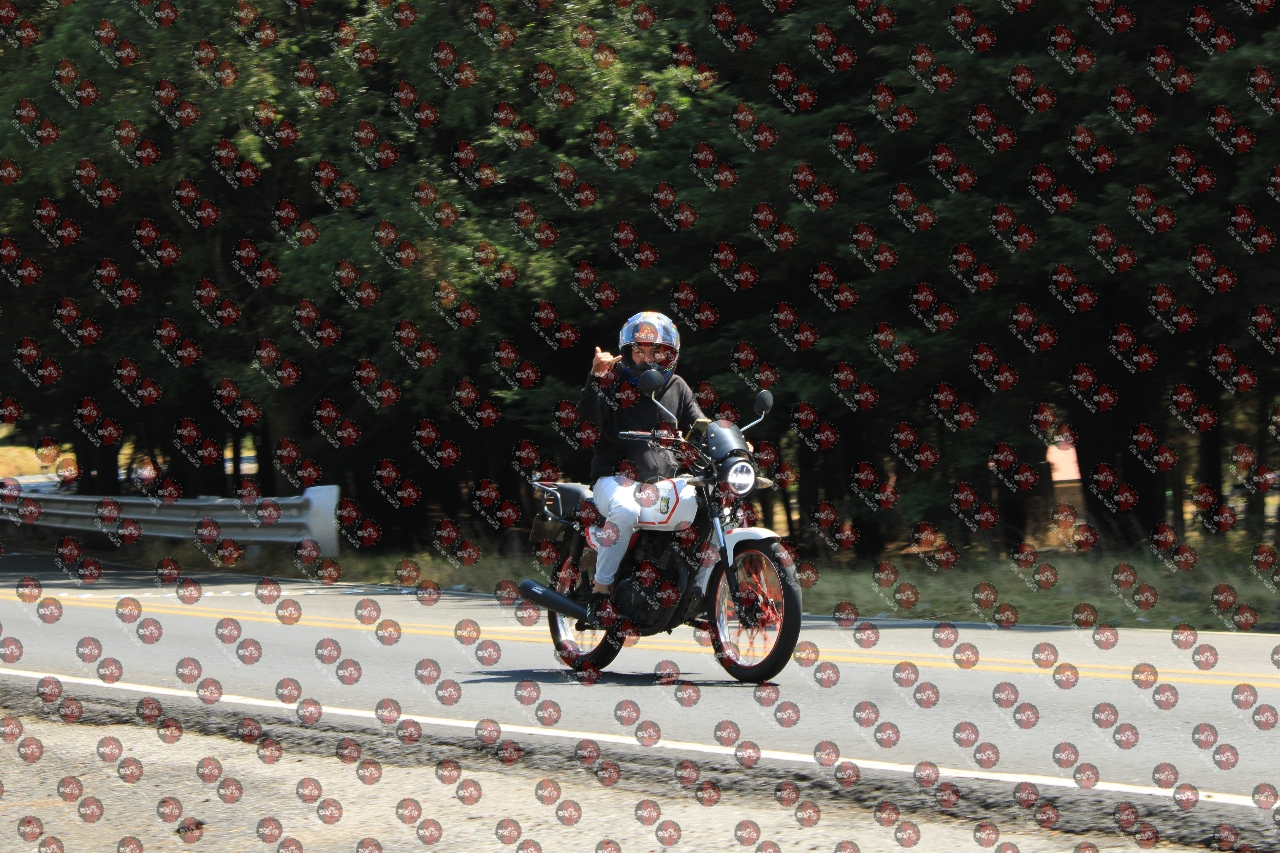 1713735795691 — Postimages