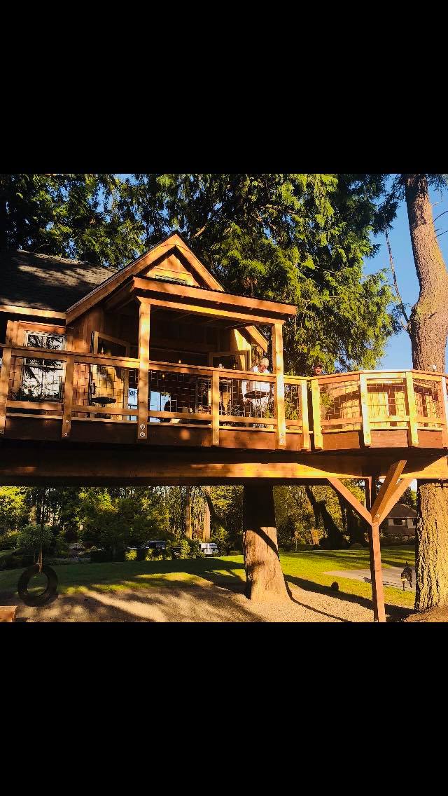 tree house 1 — Postimages