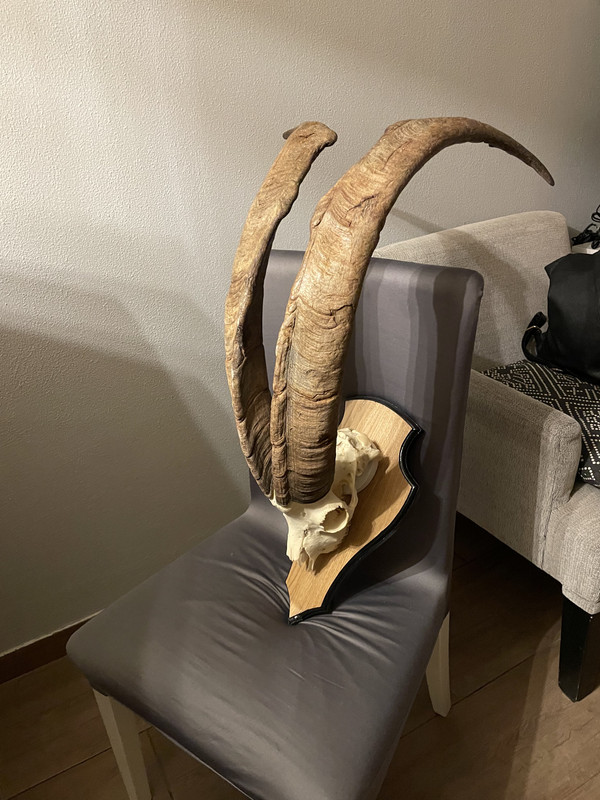 IMG 2102 — Postimages