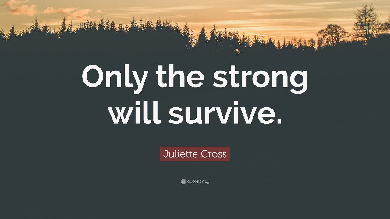 7095551 Juliette Cross Quote Only the strong will survive — Postimages