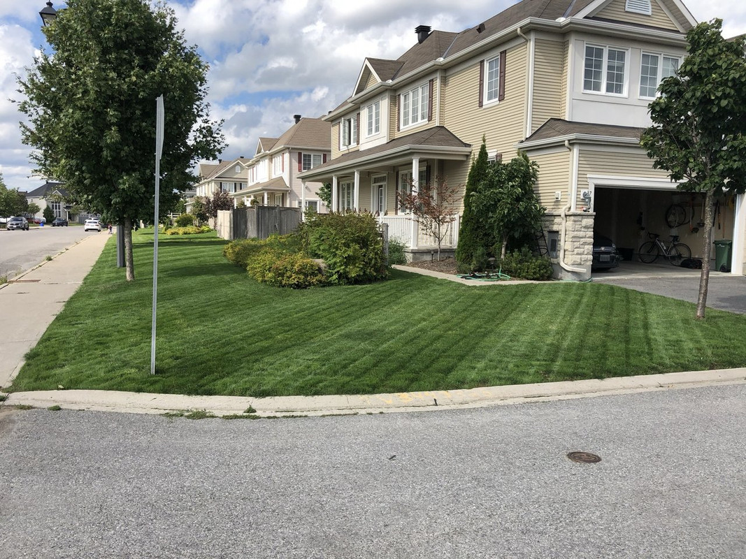 IMG 5015 — Postimages