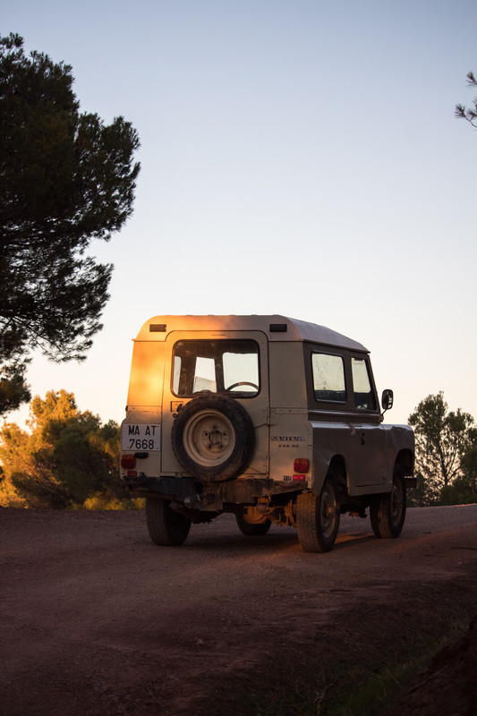 22112023 IMG 6628 — Postimages