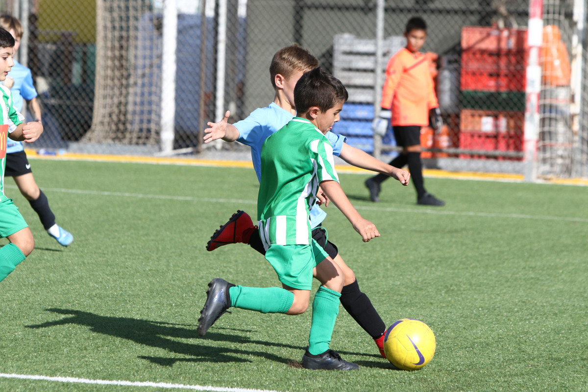 VIK 0197 — Postimages