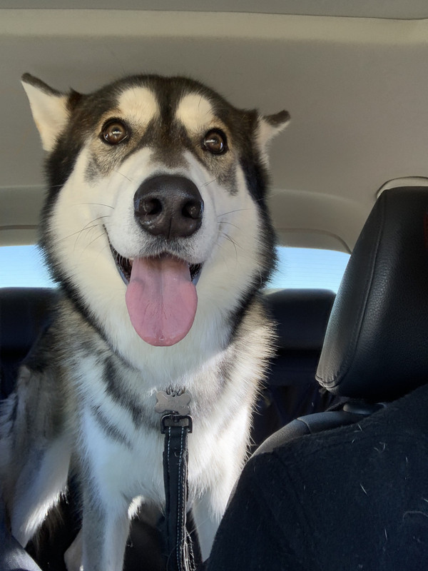 IMG 0630 — Postimages