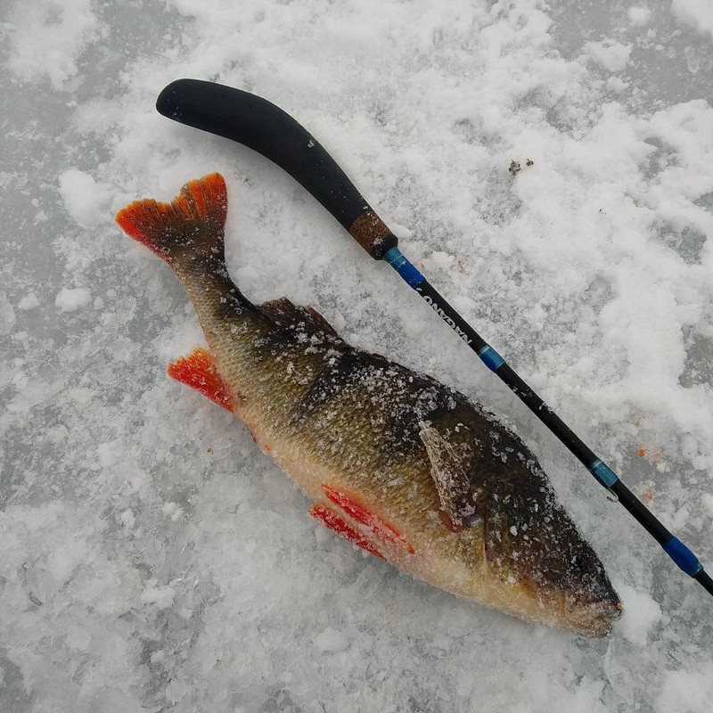 IMG 20230129 193346 974 — Postimages