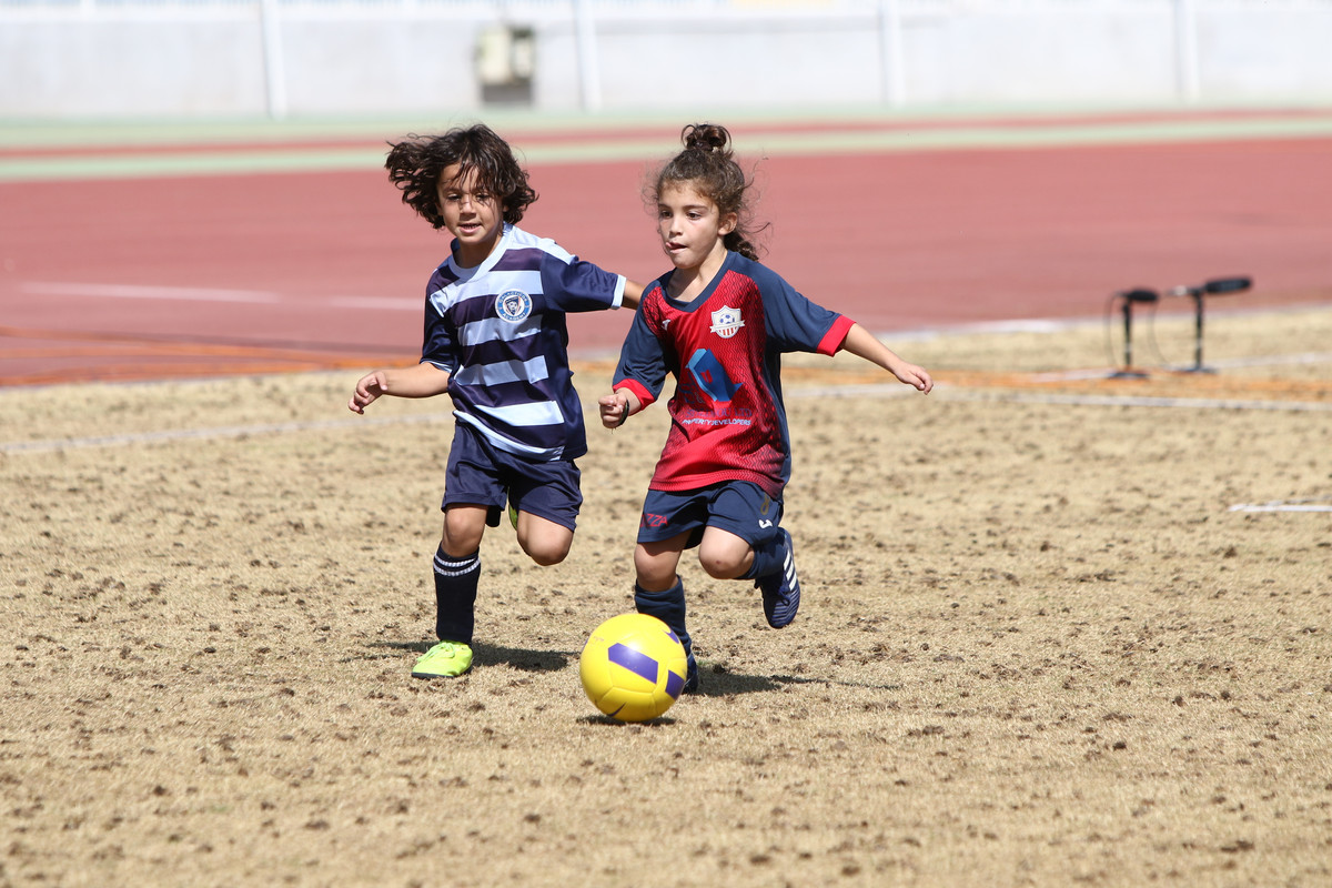 VIK 2038 — Postimages