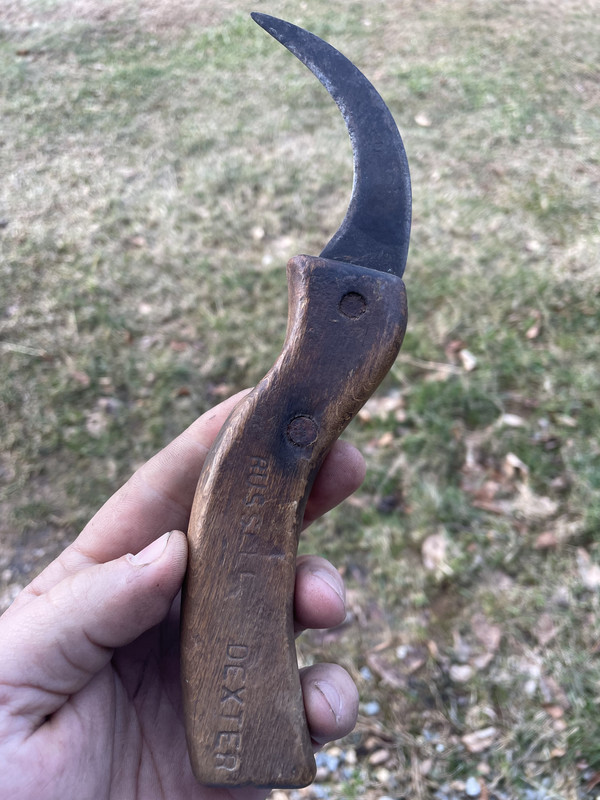 93 F94809 E140 4957 BD82 A387 F8 A742 A1 — Postimages